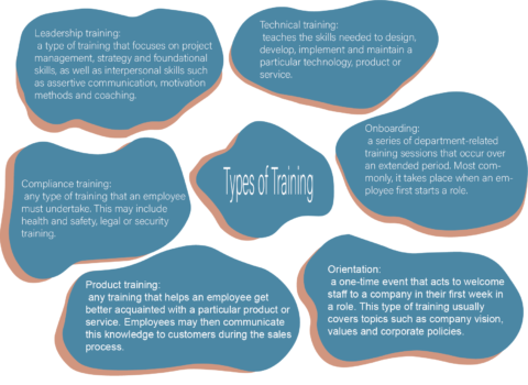 The amazing advantages of training your staff - Learning Nexus Ltd.